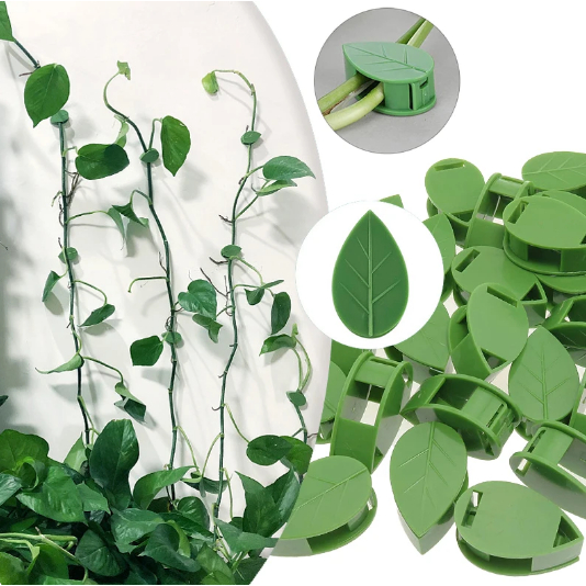 Invisible Plant Climbing Wall Fixture Rattan Vine Bracket Fixed Buckle ...