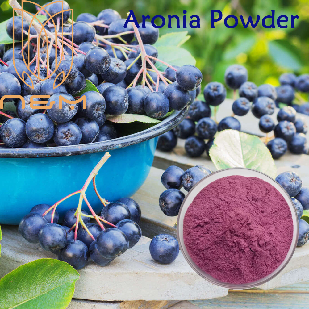 N&M/ Aronia Powder/ Chokeberry/ Polyphenol, Mineral, Vitamin Supplement ...
