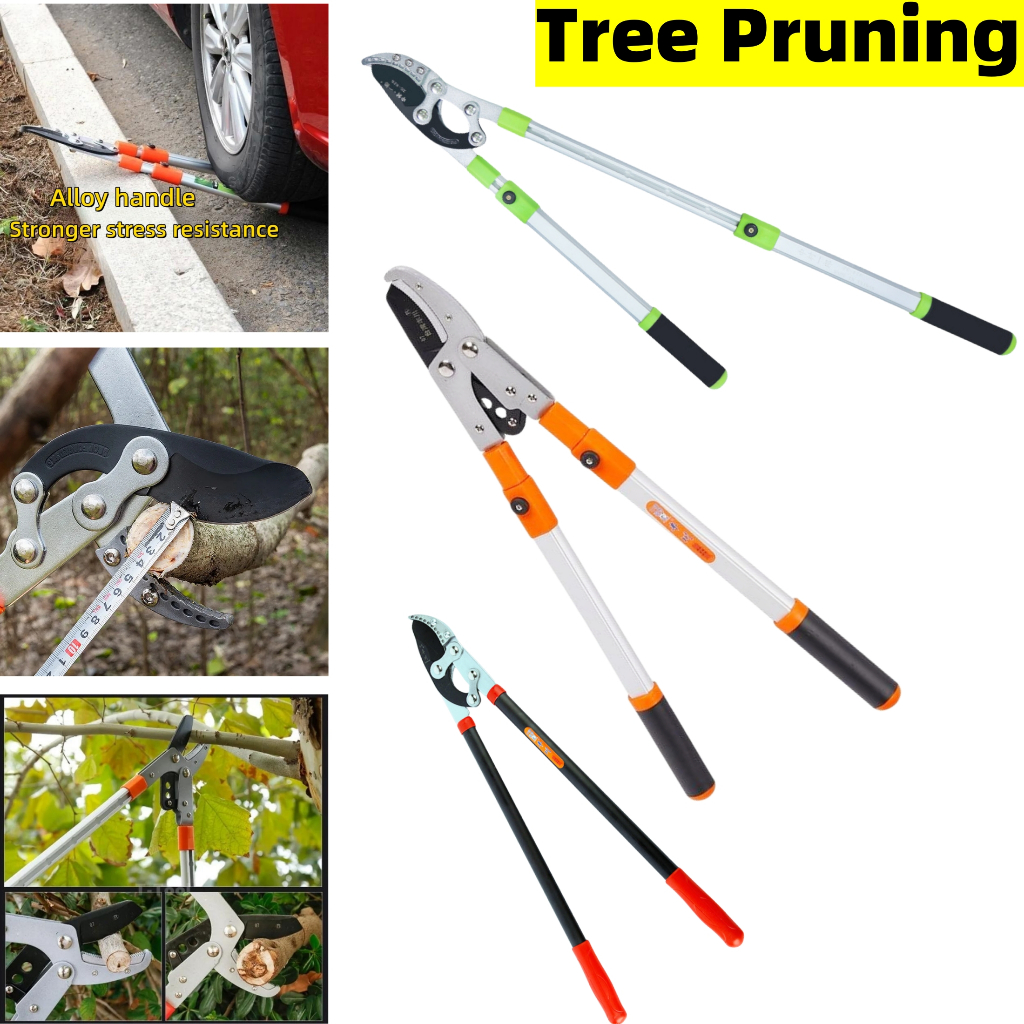 Tree Branch Pruning Cutter Shears Telescopic Expandable Blade Wood ...