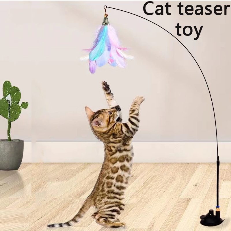 Cat Interactive Toy Cat Toy Teaser Cats Teaser Feather Stick Toy With ...