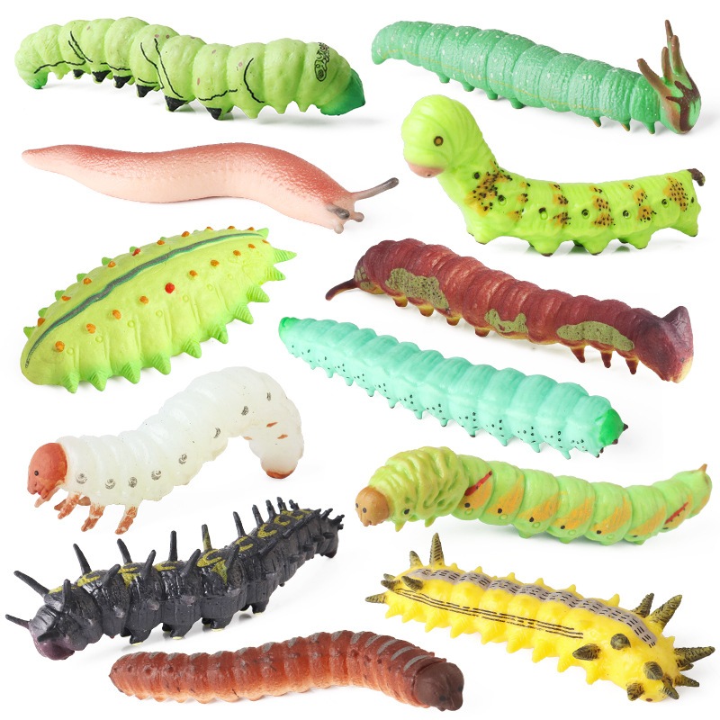 Children simulated cognitive insect animal model nasal slug fennel ...