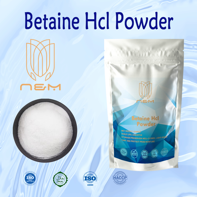 N&M/ Betaine Hcl Powder/ Super Stomach，Cardiovascular Supplement ...