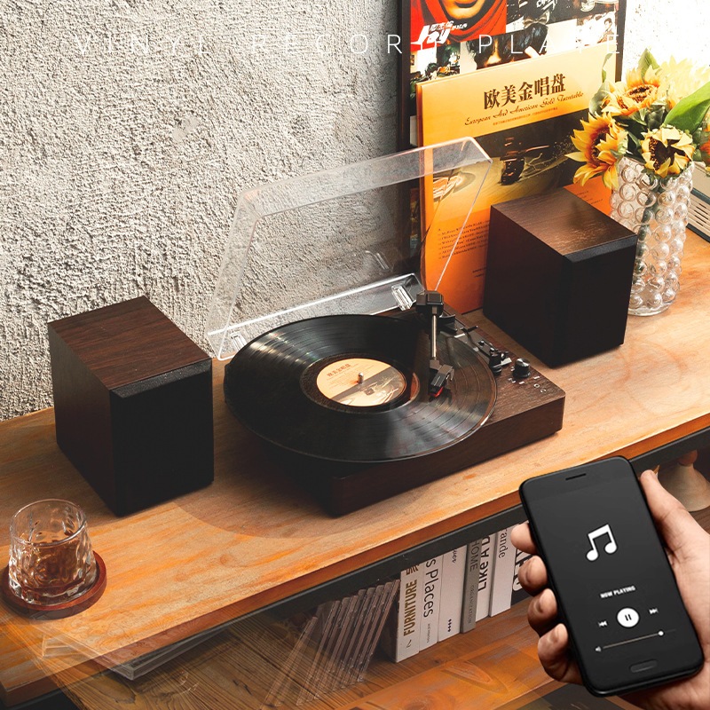 Middix Record Player Bluetooth Vinyl Player for Vinyl with Speakers 3 ...