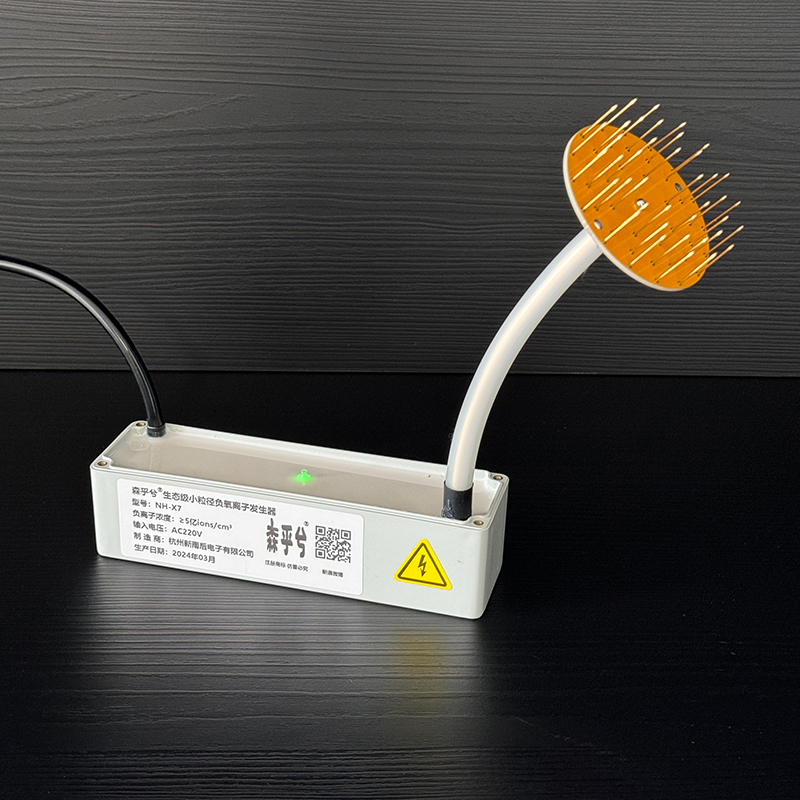 500 Million Negative Ion Generator, Ionizer Air Purifier, Air Ionizer ...