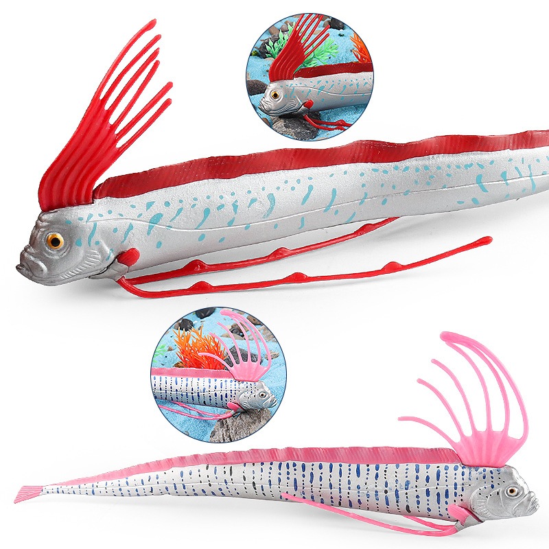 Marine Organisms Oarfish Sea Serpent Earthquake Fish Scientific Model ...