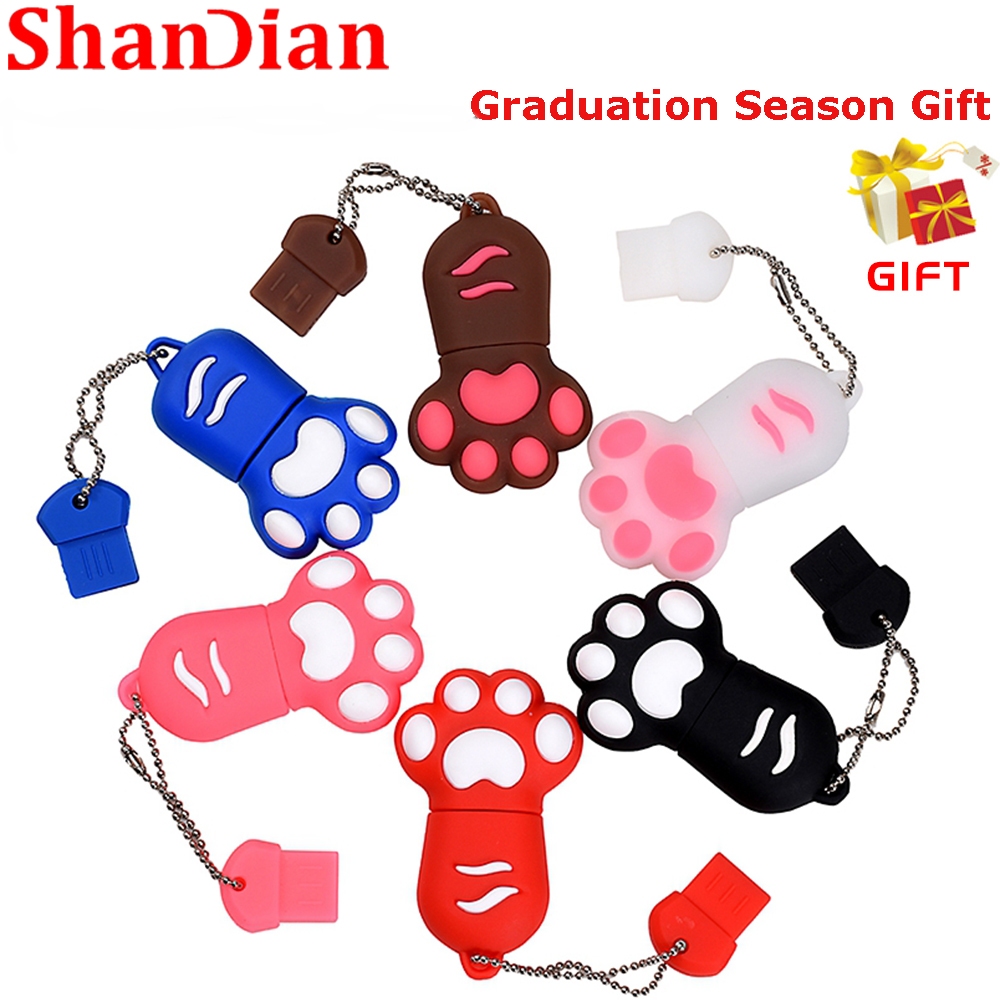 SHANDIAN Cartoon Graduation Season Gift USB 2.0 Flash Drive 128GB Mini ...
