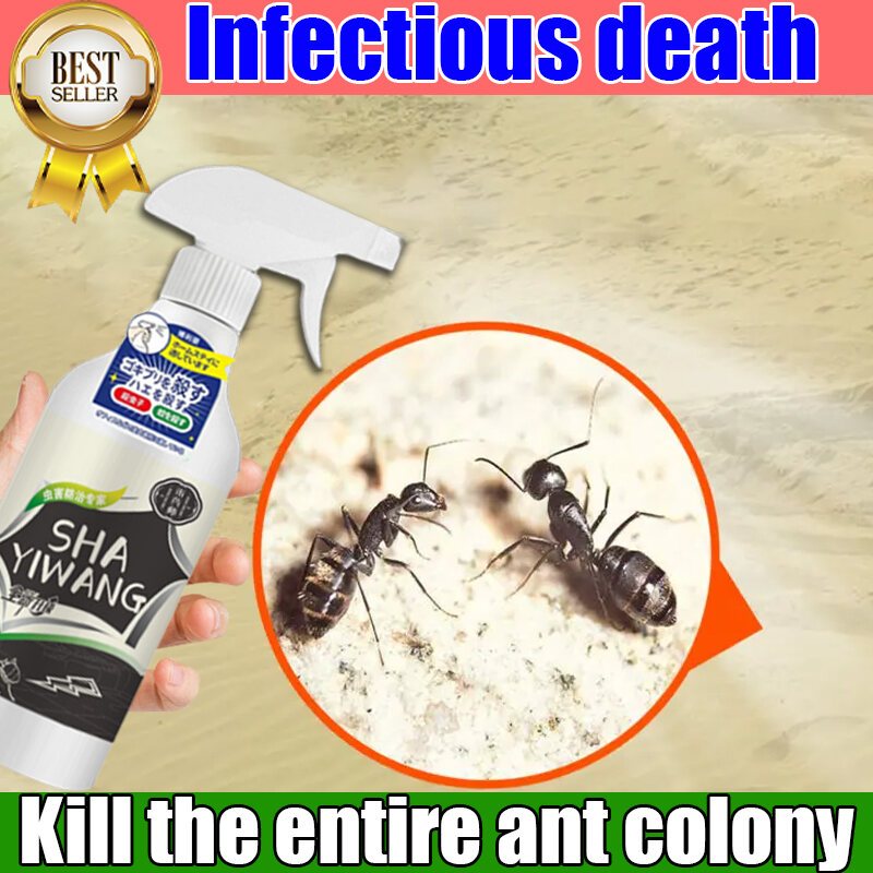 【Kill all termites and ants】 Van Termite killer Termite spray Spray ...