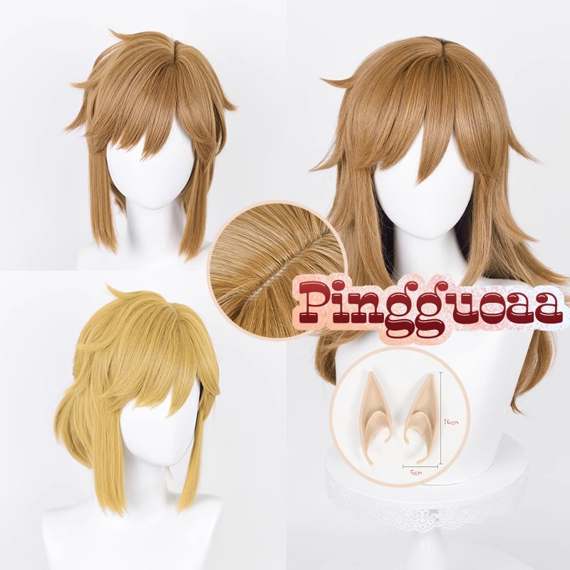 The Legend of Zelda: Breath of the Wild Link 30cm/50cm Brown Short Wigs ...