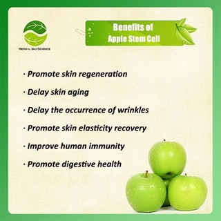【High Quality】Apple Stem Cell Powder/1kg/Promote skin regeneration ...