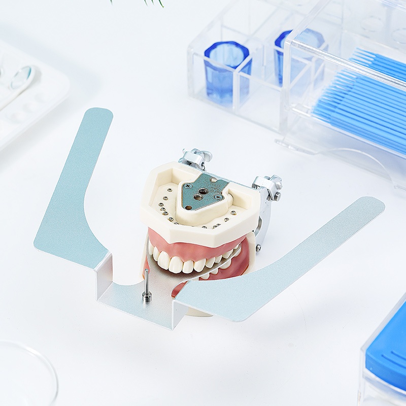 Dental 3D Occlusal Maxillary Casting Jaw Fox Plane Plate Complete ...