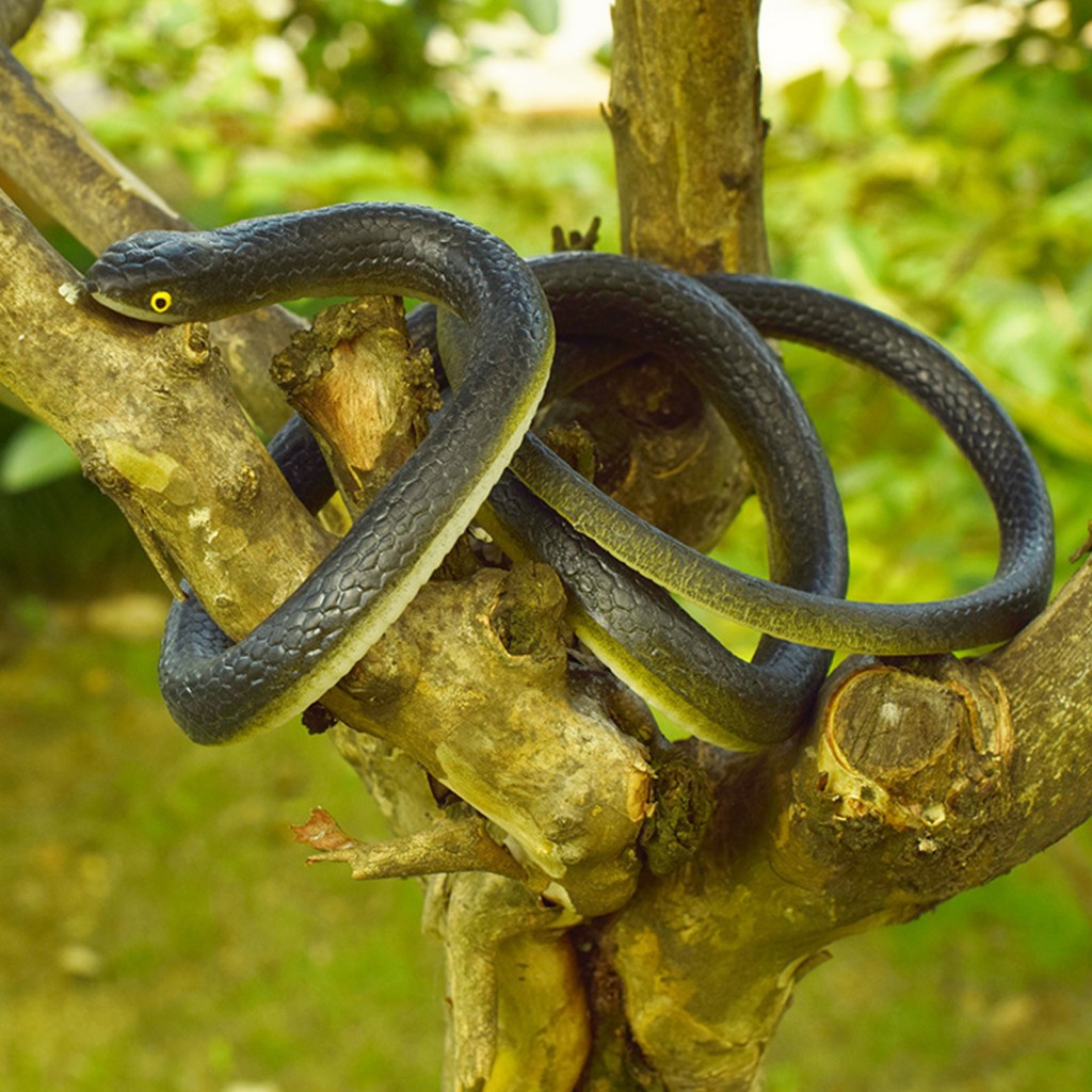 1.23m big green snake Halloween fake snake props simulation snake ...