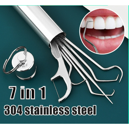 304 Stainless Steel Toothpicks and Floss Teeth Cleaning Oral Care Kit ...