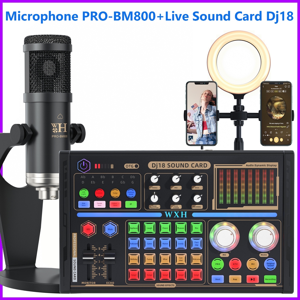 Dj18 Live Sound Card + Pro-BM800 Microphone, Mixer for PC Mobile Live Streaming Anchor Laptop/PC ...