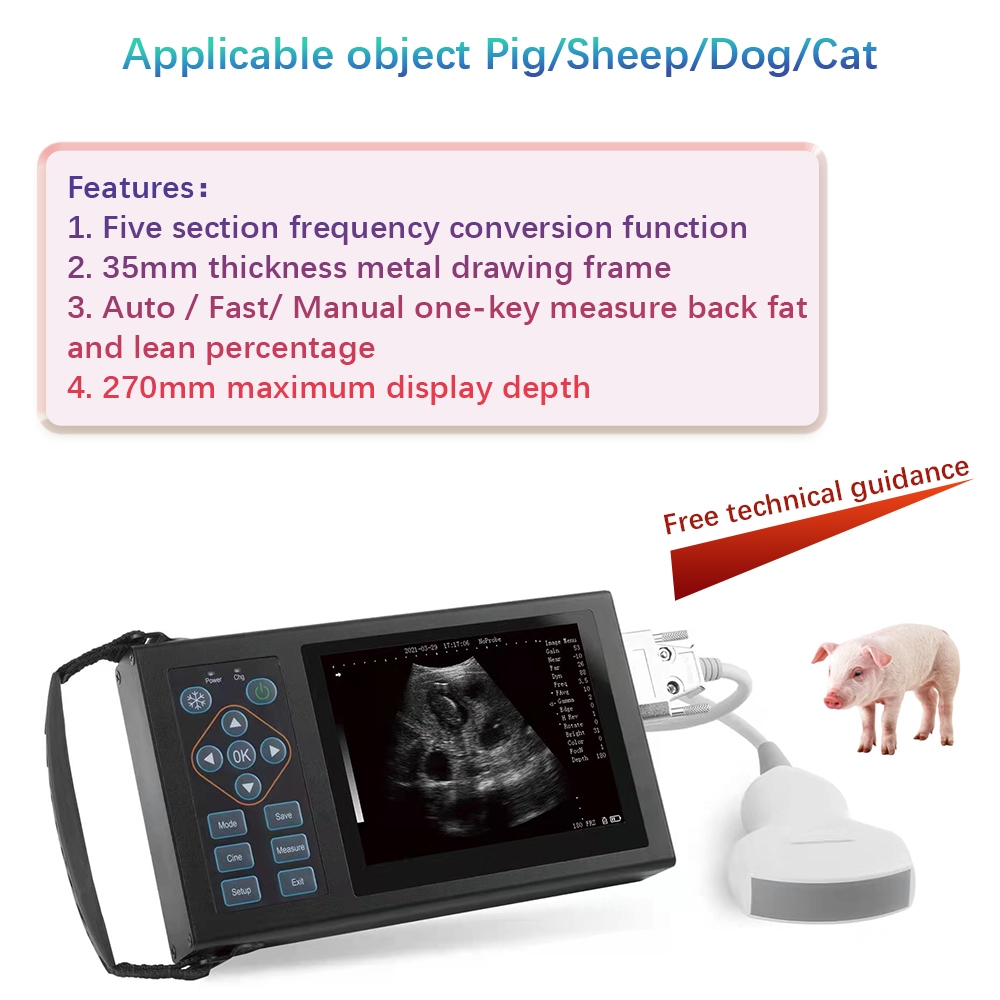A10 User-friendly pig sheep pregnancy ultrasound scanner veterinary ...
