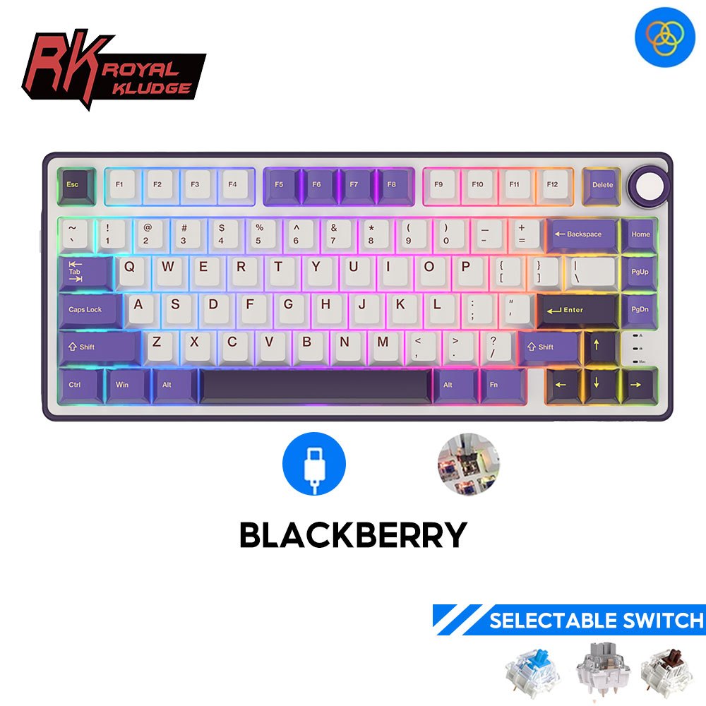 NEW RK R75 RK ROYAL KLUDGE SkyCyan 80 Key Gasket Wired Mechanical ...
