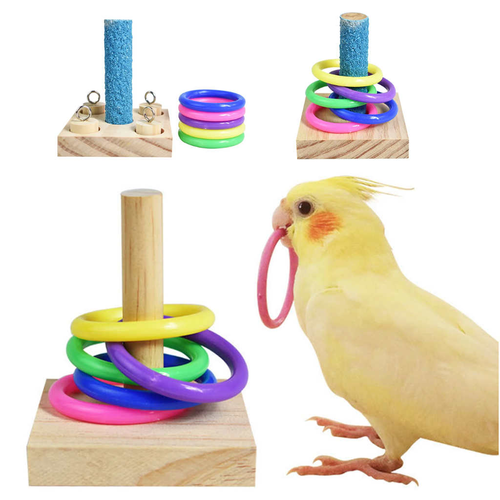 Bird Training Ring Toy Parrot Educational Toys Training Interactive ...