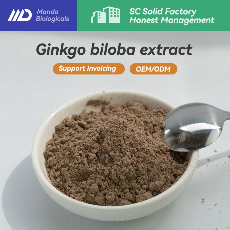 Ginkgo biloba extract 10:1 water soluble ginkgo biloba powder Ginkgo ...