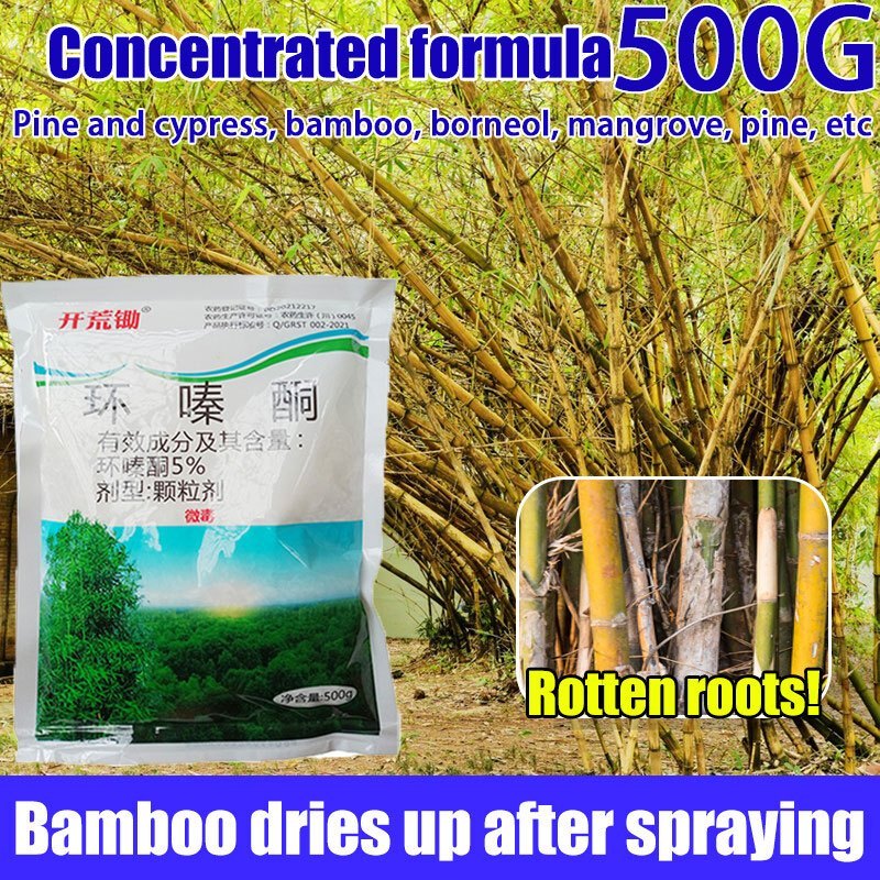 Chemical to Kill big tree roots and bamboo Effective weed control ...