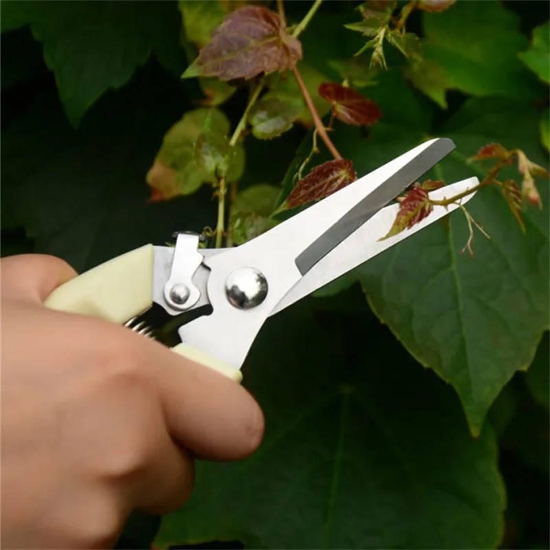 Gardening Scissors Flower Branch Cutter Stainless Steel Garden Shears ...