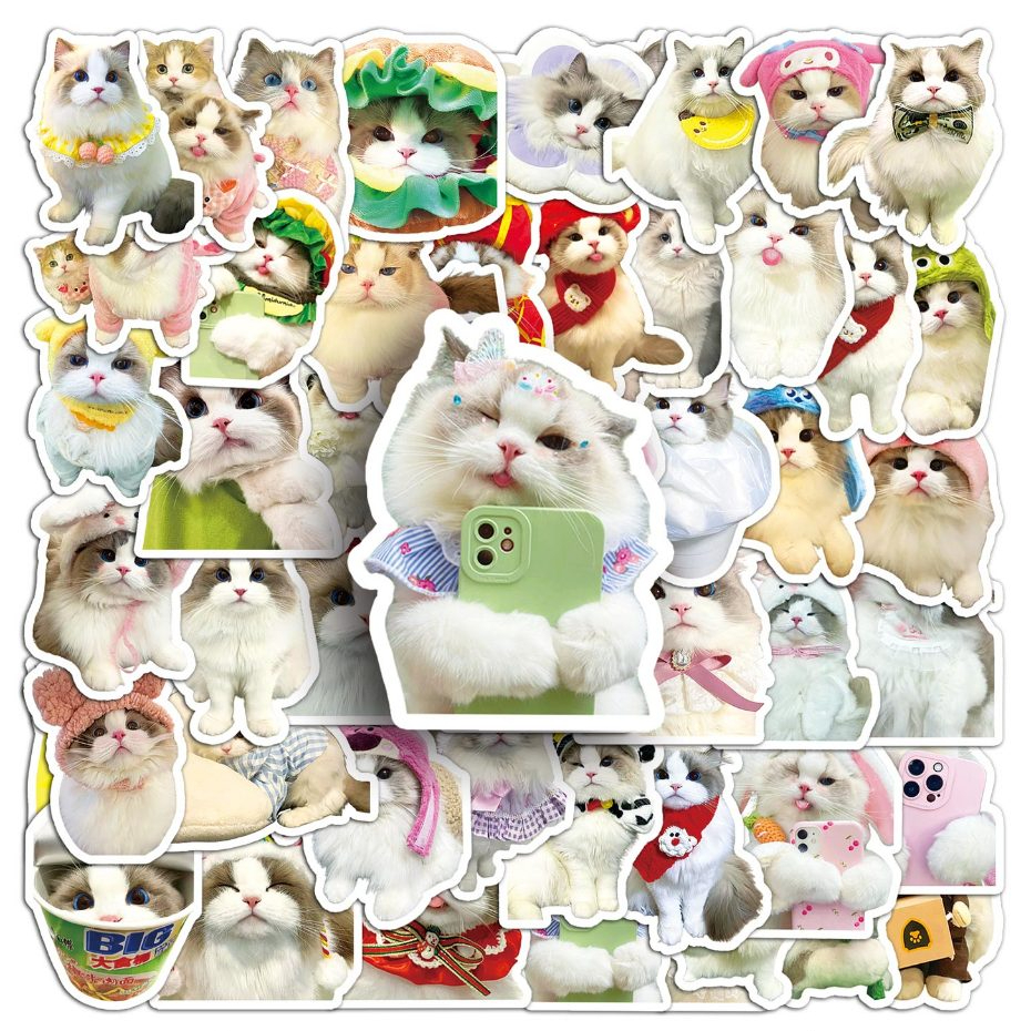 Hot Creative Super Cute 50pcs Ragdoll Cat meme Stickers DIY For Phones ...