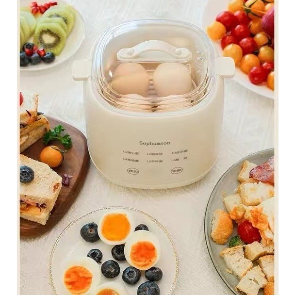 220V /110V Electric Hot Spring Egg Boiler Steamer Stewed Eggs Custard ...