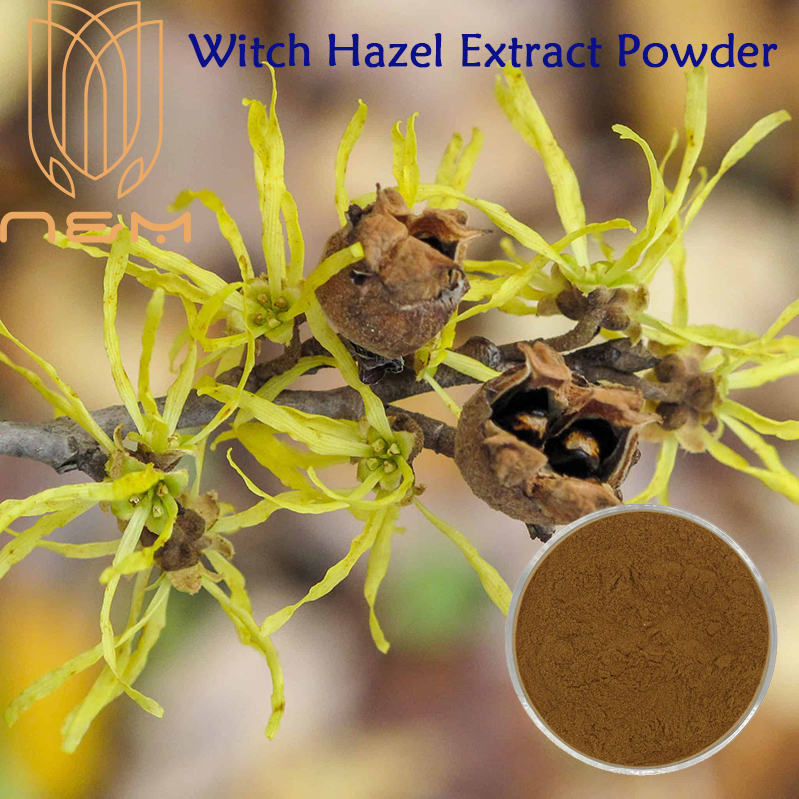N&M/ Witch Hazel Extract Powder/Food grade, Improve Skin ...