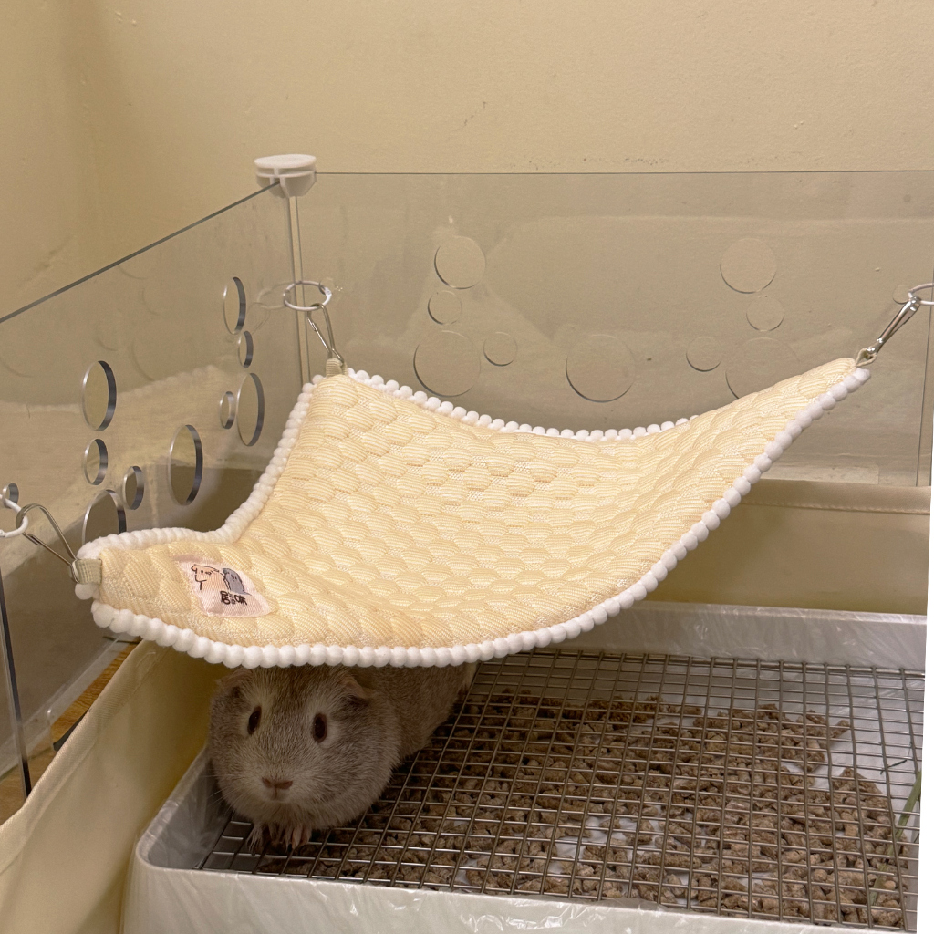 [居咪JUMI] Guinea Pig Corner Hammock Hidout Ice Silk Corner Decorations ...