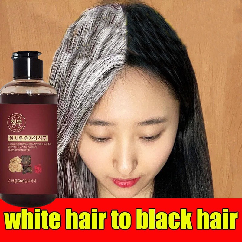 Black Hair Shampoo Permanent Effective Herbal Natural Polygonum ...