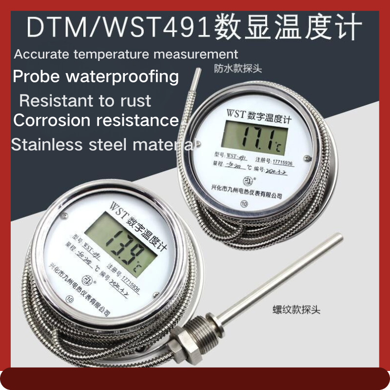 🔥Digital Display Thermometer WST/DTM491 High Precision Acid-Alkali ...