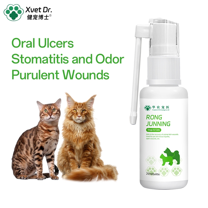 Xvet Dr Skin Spray For Dogs And Cat Skin Disease Treatment Oral Ulcers ...