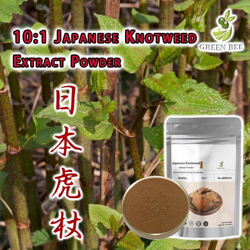 【Concentration】10:1 Japanese knotweed Extract Powder /Ri Ben Hu Zhang ...