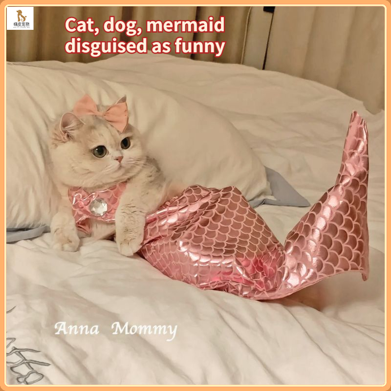 Cats, mermaids, funny costumes/cute bikinis with cat and fish tails ...