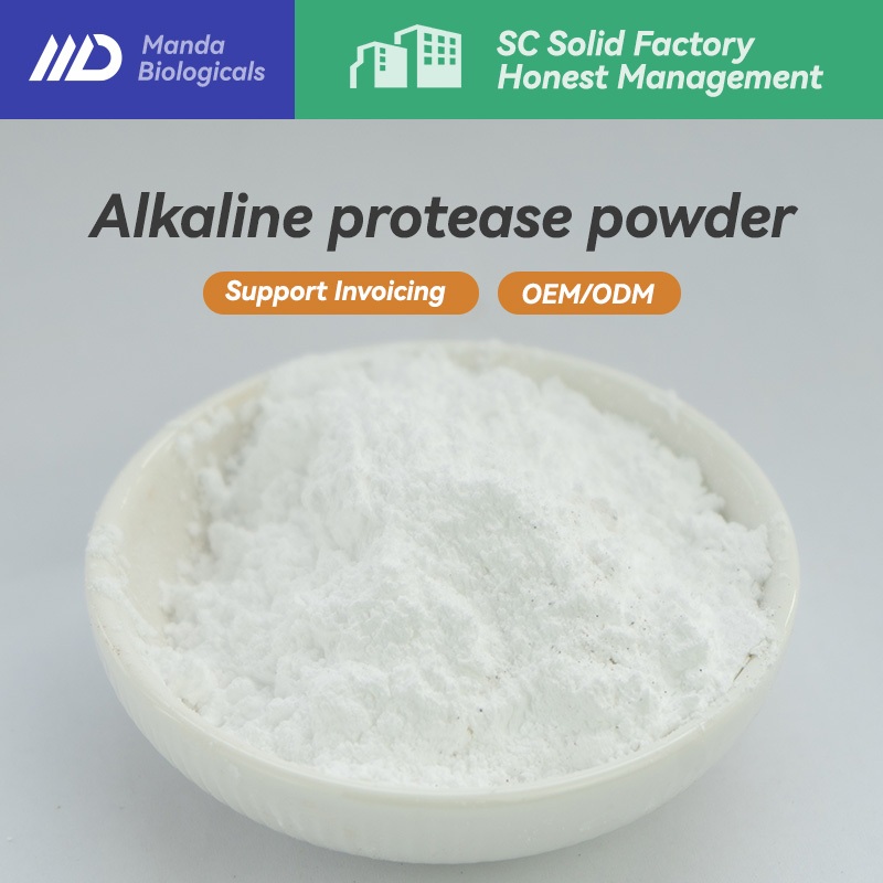 Alkaline protease powder 200,000uf/g Claccybalobacteria 2709 ...