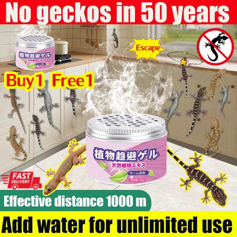 No geckos in 50 years Lizard repellent gel prevent and repel dual ...