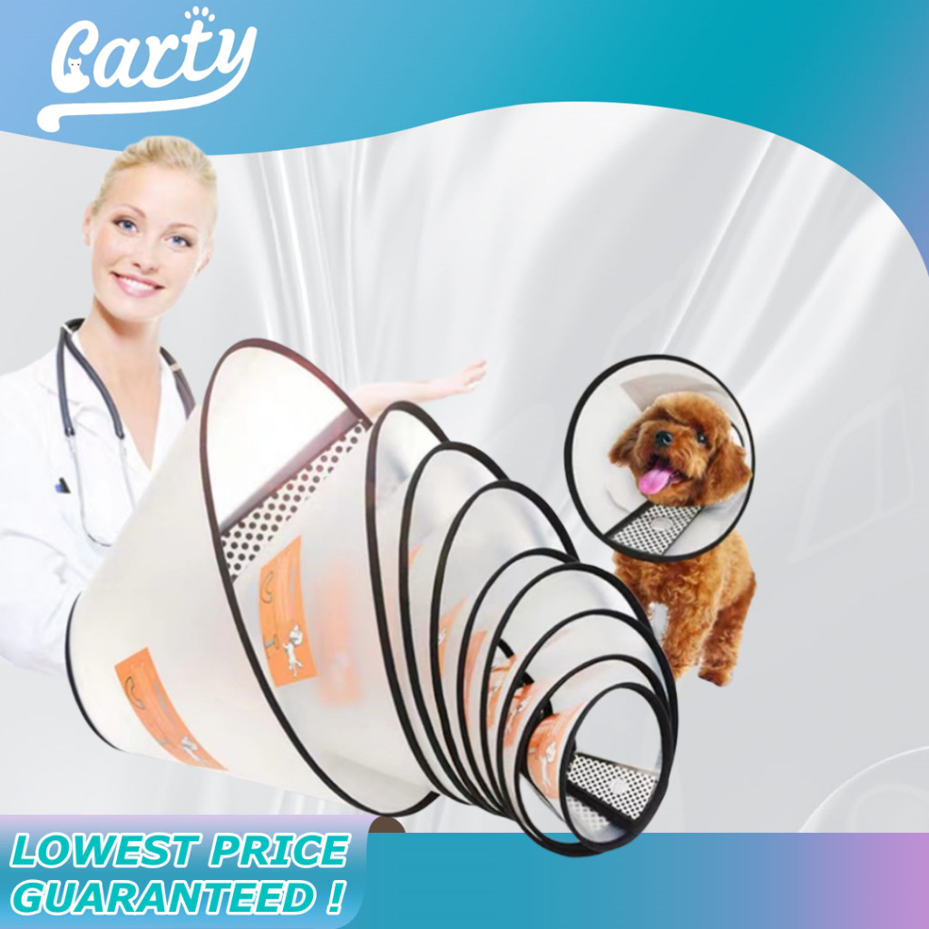 Pet Elizabeth Cone E-Collar Cat Dog Cone Adjustable Safety Collar ...