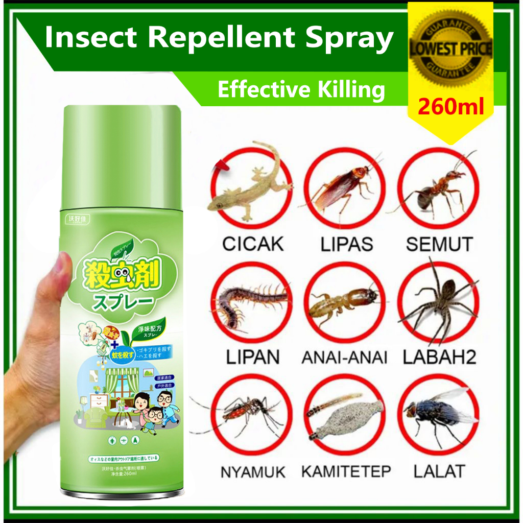Insect Repellent Spray Fly&Cockroach&Ant Repellent Spray Cockroach ...