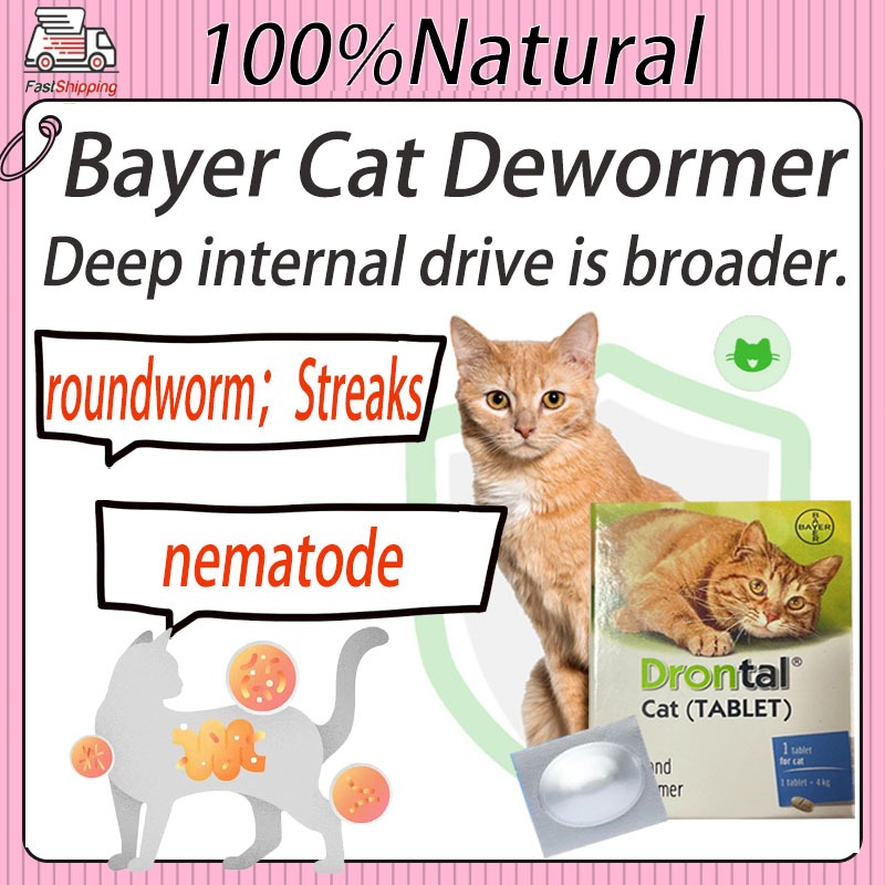 【Buy 3 free 1】Drontal Cat Deworm 1 Tablet Tasty Dewormer Tablets for ...