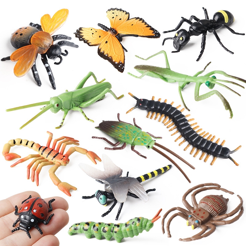 insect cockroach grasshopper mantis ladybug centipede animal set model ...