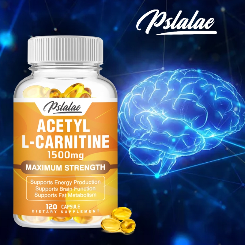 ACETYL L-CARNITINE - Highly Bioavailable - Mood Support, Mental Clarity ...
