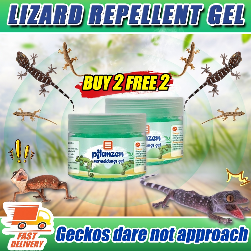 【No geckos in the house】IOO Lizard repellent Lizard killer Cicak killer ...