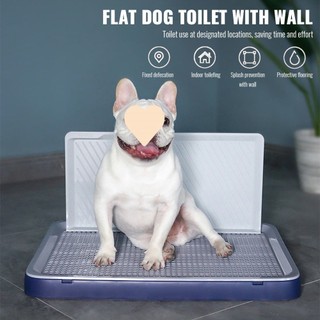 Dog Poop Tray Dog Training Potty Mat High Quality Large Dog Pee Potty ...