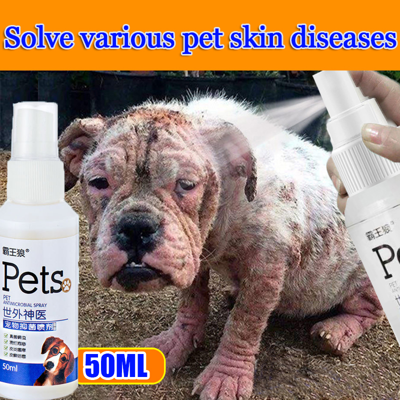 Pet skin disease dog itchy skin medicine dog skin disease medicine dog ...