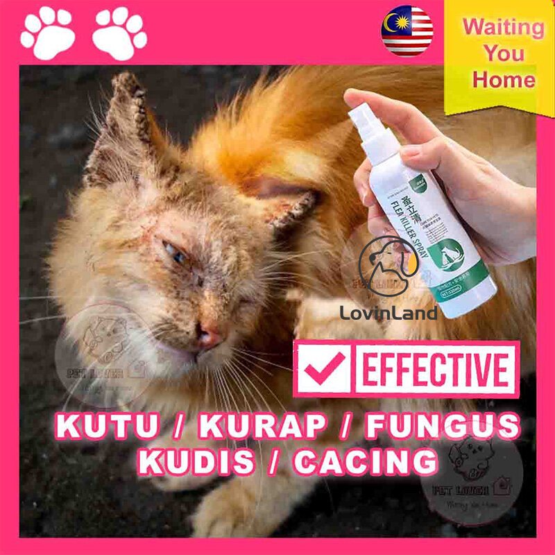 Cat Dog Pet Spray Anti Fleas Lice Mites Ticks Spray Kutu Kucing 120ML ...