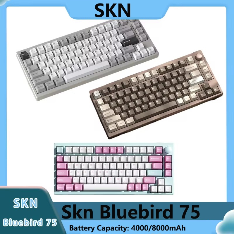 Skn Bluebird 75 3 Mode Mechanical Keyboard Kit Aluminium RGB Wireless Custom Keyboards 8000mAh ...