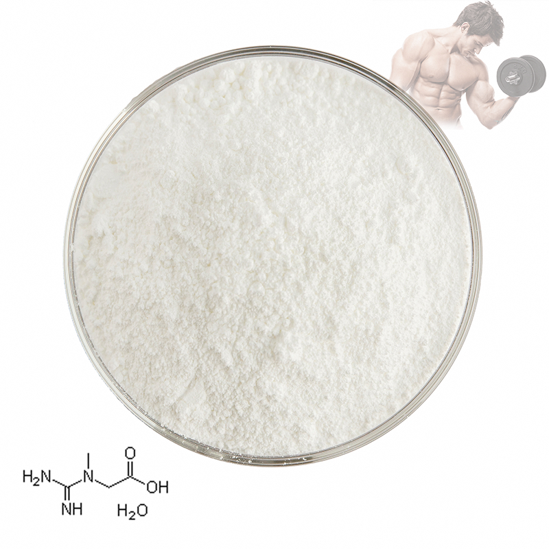 Wholesale Bulk Creatine Powder Food Grade Nutritional supplements ...