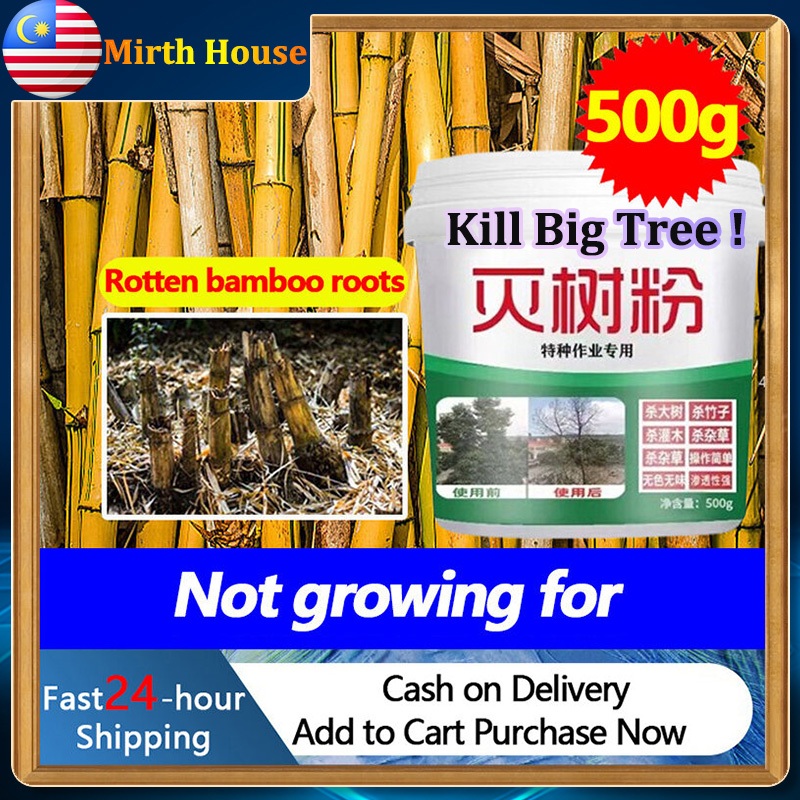 Powerful rotten tree roots Weed killer samba grass poison power 500g ...