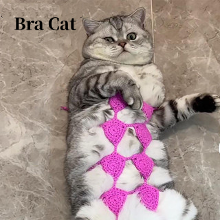 Pet Cat Bikini Cat Bra Pet Cat Underwear | Shopee Malaysia