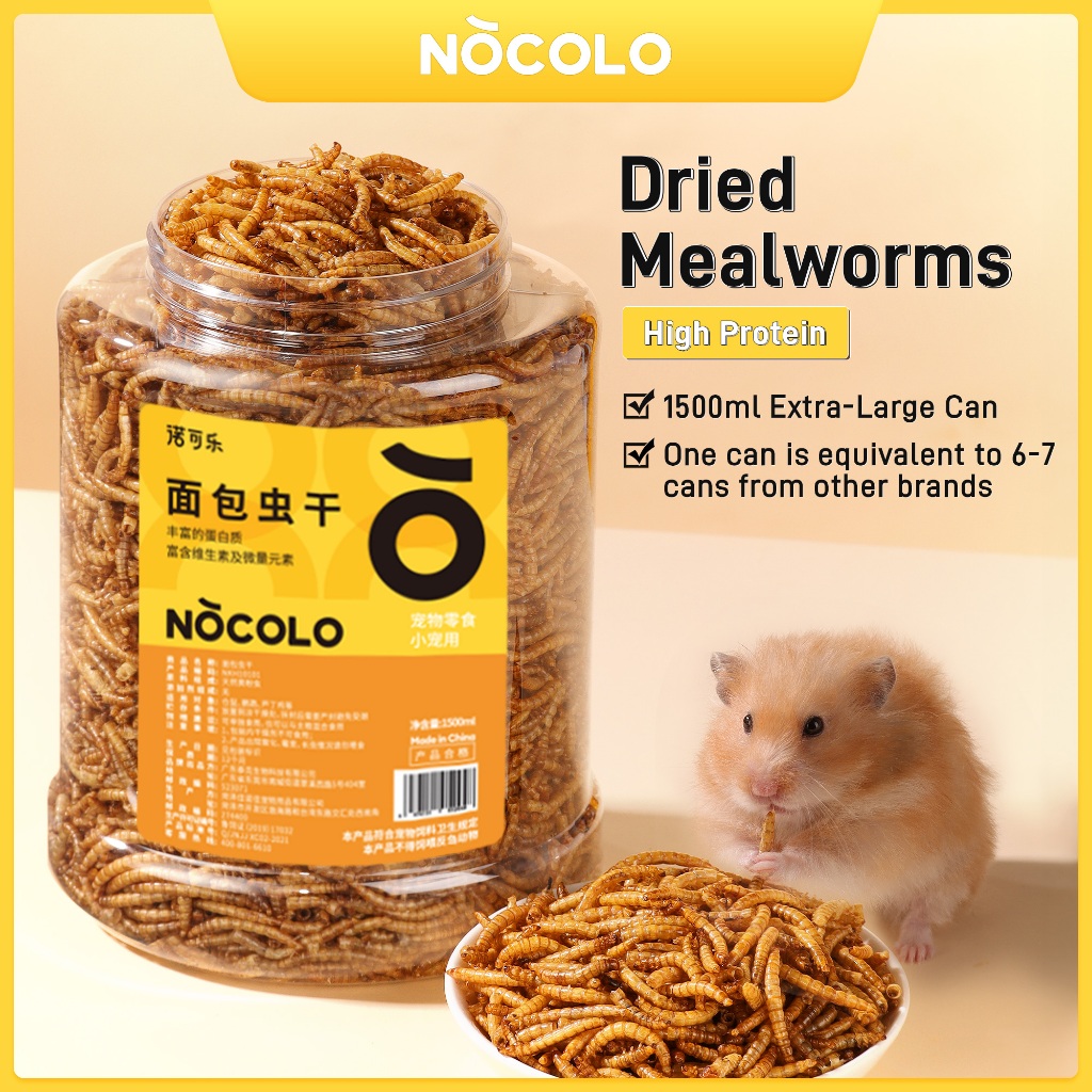 Nocolo 1500ml Mealworm Dry , Hamster Dried Mealworm ,Hamster Treats ...