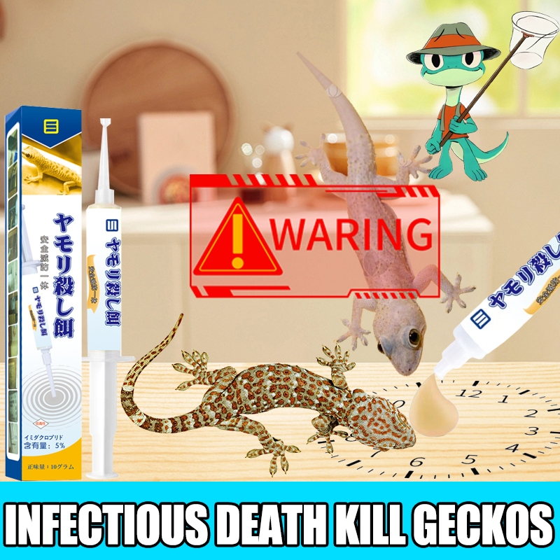 Infectious death kill geckos HB lizard gel bait lizard killer lizard ...