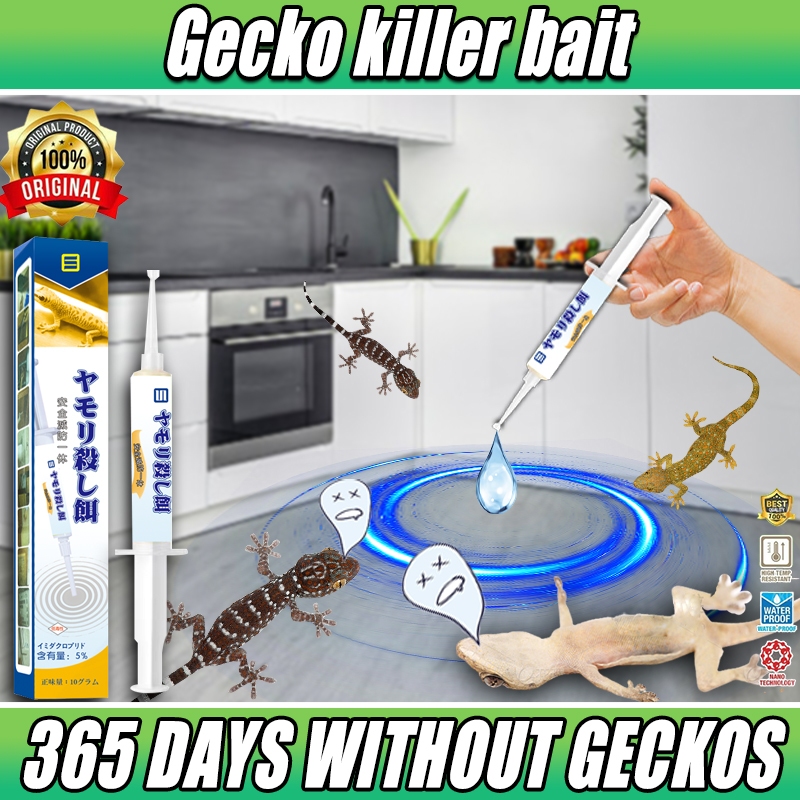 The secret weapon to eliminate geckos VA lizard gel bait lizard killer ...